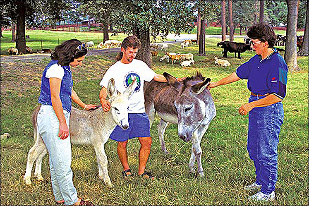 Heifer International Ranch, Perryville