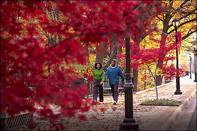 Enjoying fall color in Little Rock's Allsop Park
