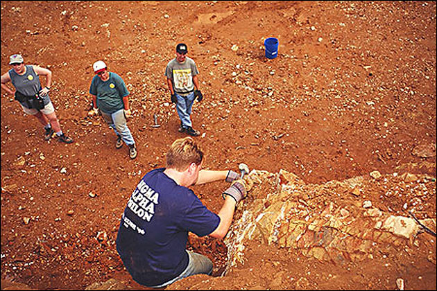Crystal digging in Montgomery County