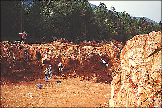 Crystal digging in Montgomery County