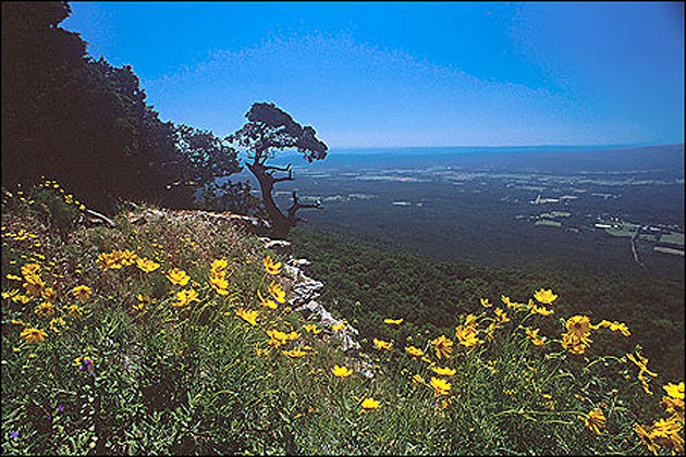 Mount Magazine State Park