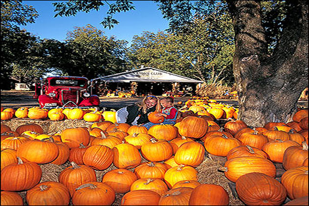 Hardin Farm in Grady